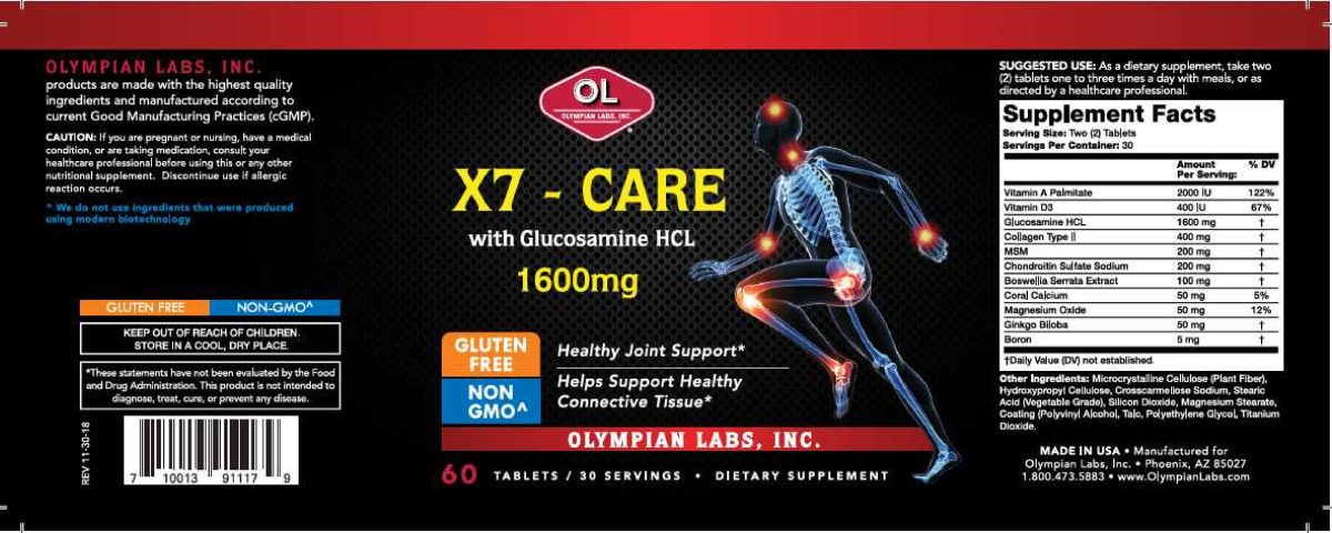 X7 Care with Glucosamine HCL, Chondroitin Sulfate, MSM & Type II ...